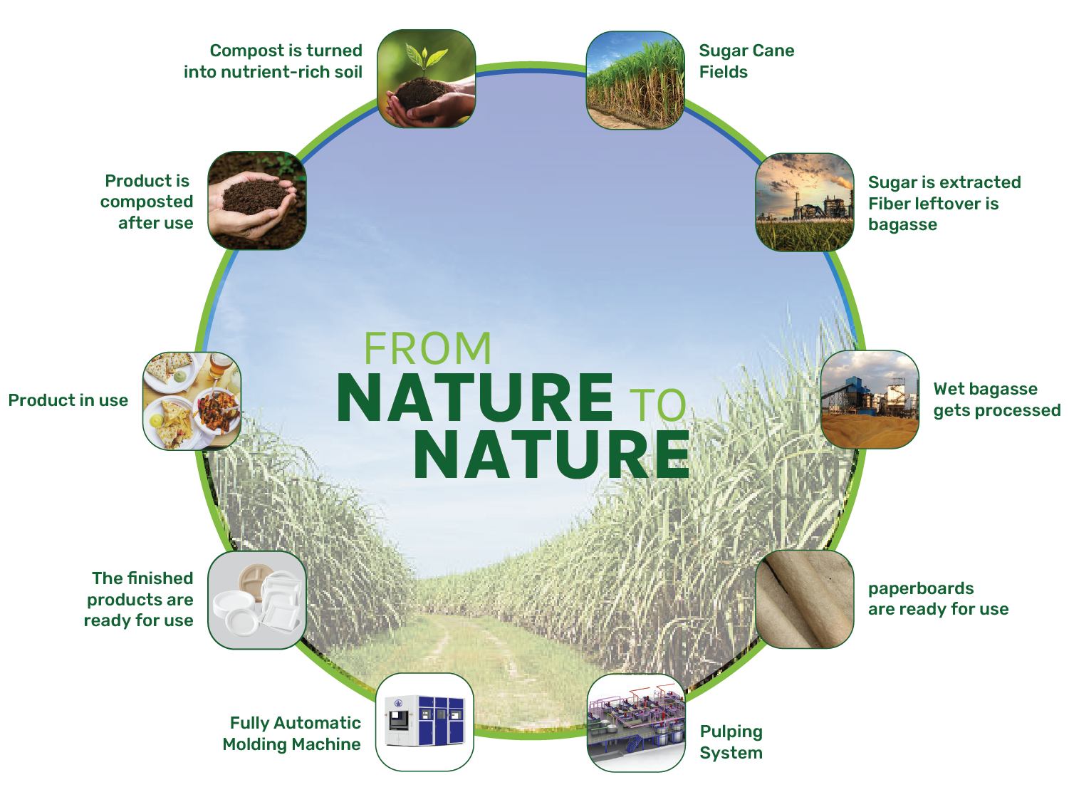 Ecoholic Biodegradable Tableware Manufacturer Ecoholic Biodegradable Tableware Manufacturer